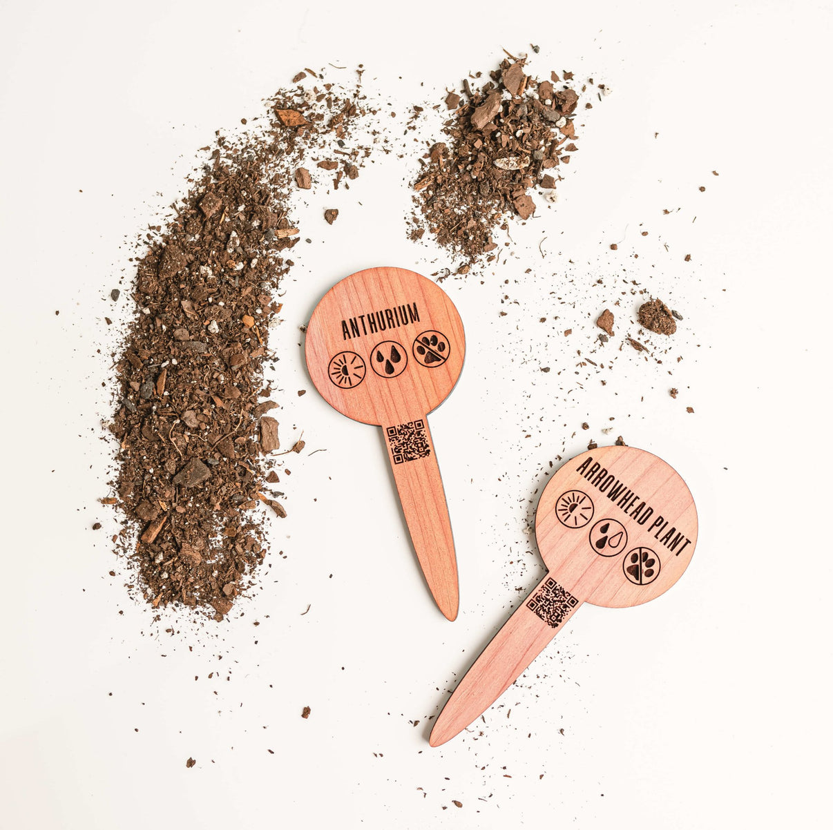 Plant Care & Identification Labels; Cedar Wood – LeeMo Designs