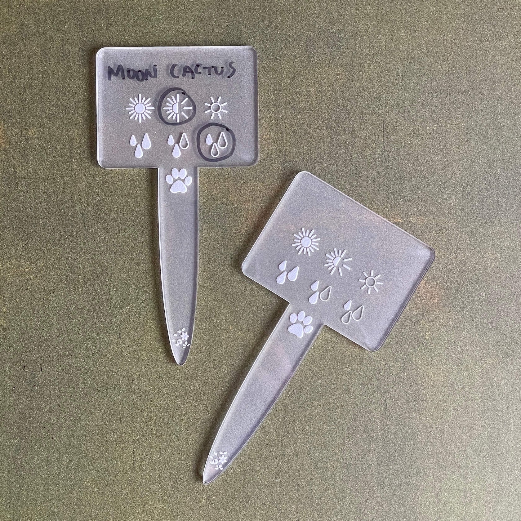 Reusable Acrylic Plant Care Identification Label – LeeMo Designs