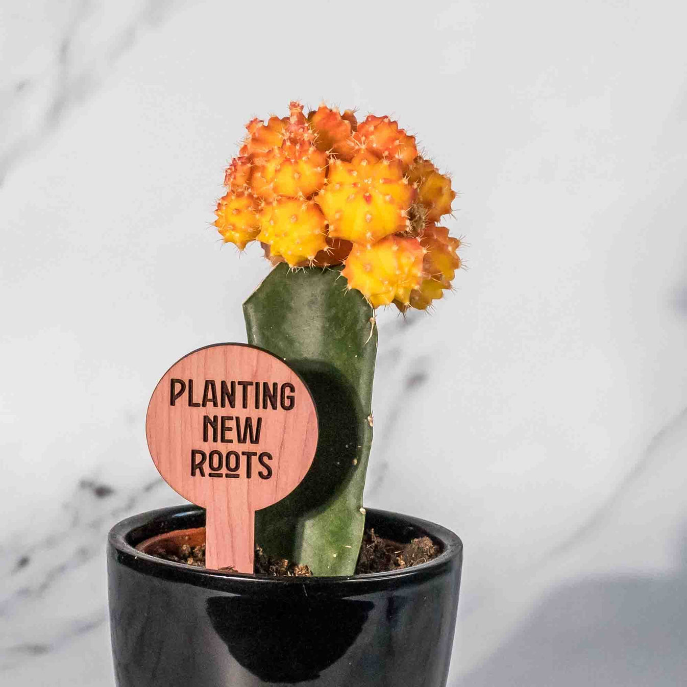 Cedar Wood Circular Plant Tags for Gifts – LeeMo Designs